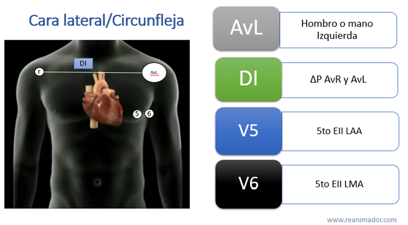 Electrocardiografía básica para el ambiente prehospitalario – Reanimador